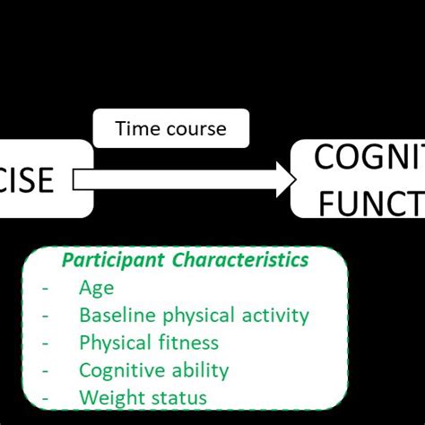 an overview of the exercise cognition relationship exercise