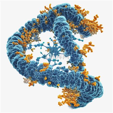 核糖体是一种细胞间结构素材图片免费下载 千库网
