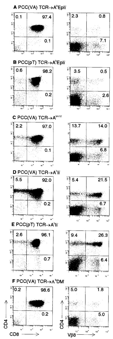 Flow Cytometric Analysis Of Thymocytes From Recipient Mice