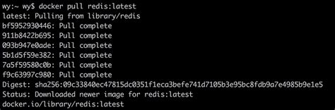 Docker Redis