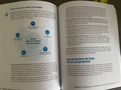 Le Management Pour Les Nuls Grand Format Kaufen Auf Ricardo