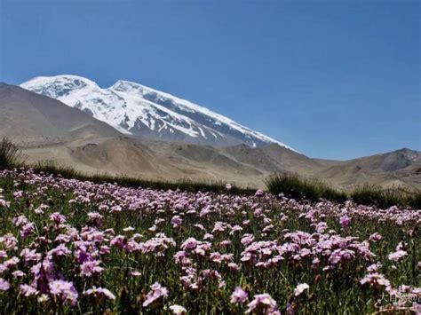 2025塔什库尔干乔戈里峰自驾游 乔戈里峰地址在哪里 乔戈里峰门票多少钱 大自驾网