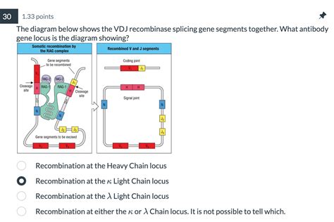 Solved 133 Points The Diagram Below Shows The Vdj