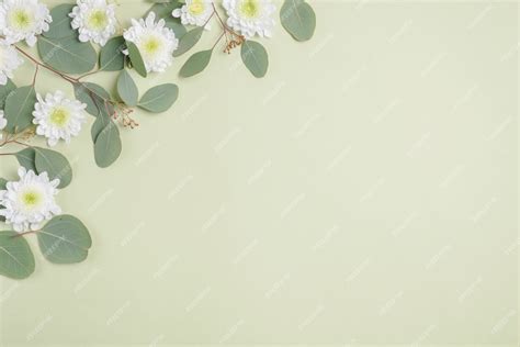 밝은 배경에 꽃과 나뭇 가지 무료 사진