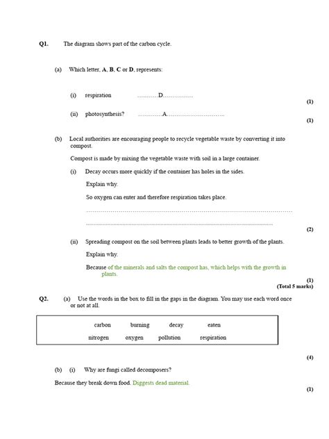 Carbon Cycle Questions Pdf Compost Decomposition