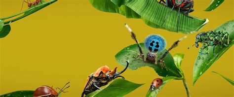 a real bug s life watch party teleparty