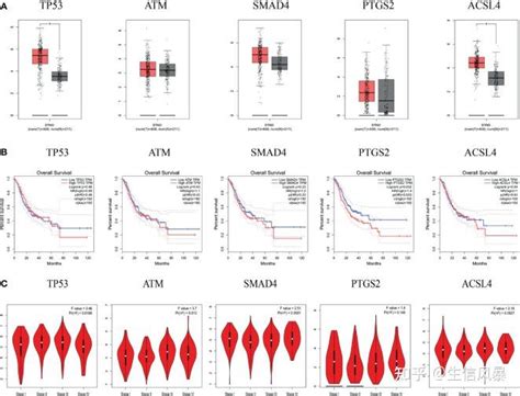 网络药理学的具体步骤是什么？这篇5 网络药理学生信文章给你答案 知乎