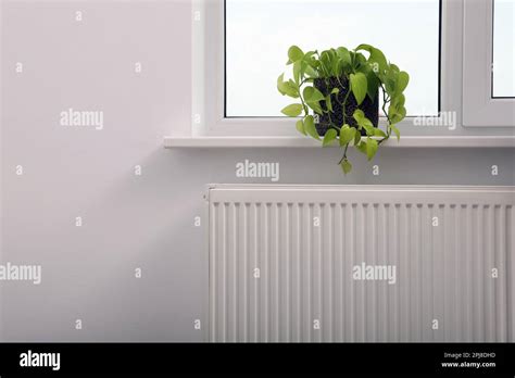 Beautiful Houseplant On Window Sill And Modern Radiator At Home