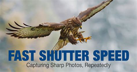 Fast Shutter Speed Explained Capturing Sharp Photos Repeatedly