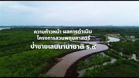 สวนพฤษศาสตร์ป่าชายเลนนานาชาติ ร ๙ Youtube