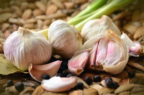 Free Picture Garlic Diet Seed Vegetable Food