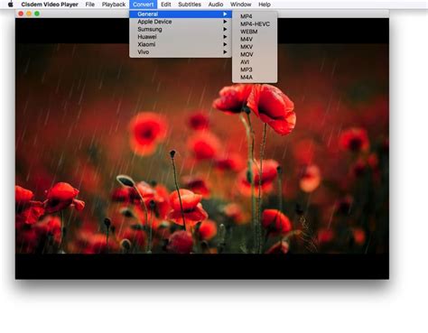 Easy Solutions To Fix Mkv File No Sound