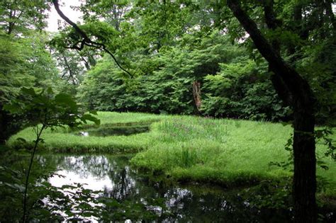 Floating Grass By Sakuradya On Deviantart