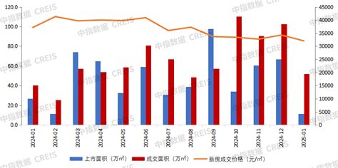 大湾区2025年1月广州房地产企业销售业绩排行榜房企动态中指云