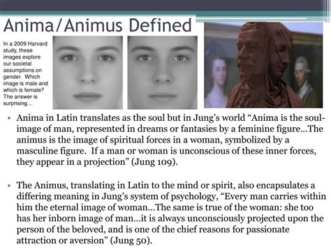Anima And Animus Jung RETOEDU