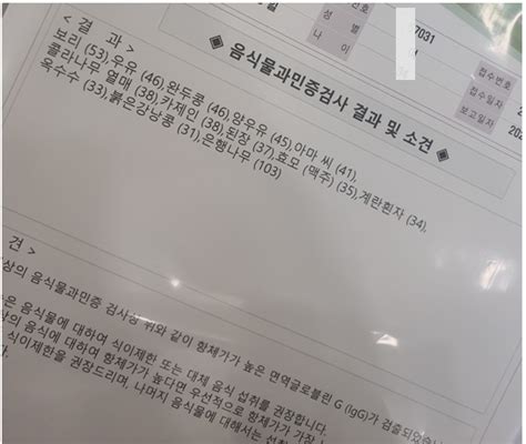 어느날갑자기알러지 3 40만원짜리 성인음식알레르기 검사 단행 그 결과는 씨젠의료재단 알레르기 검사 후기 네이버 블로그