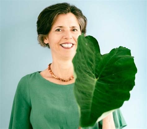 Jornalista Lança Livro Sobre A Horta Das Corujas E Outras Hortas