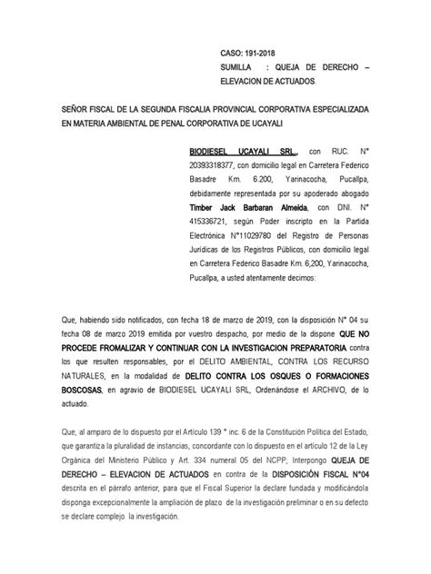 Elevacion De Actuados Fema Pdf Debido Al Proceso Jurisdicción