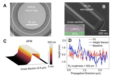 Ppln Quantumcomputing Tfln Lithiumniobate Tflnprocessing Tflndevices Qci Waveguides