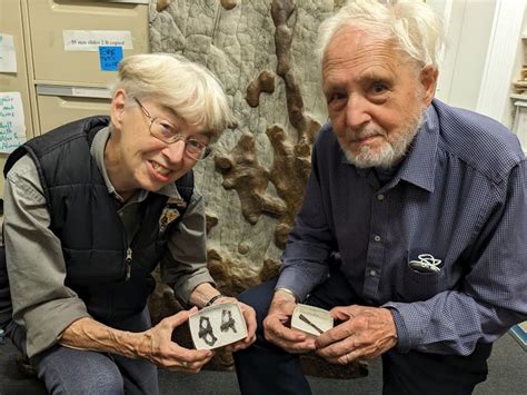 These Magnificent 107 Million Year Old Pterosaur Bones