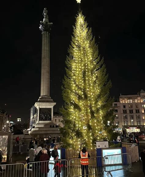 Найкрасивіші різдвяні ялинки Європи добірка фото