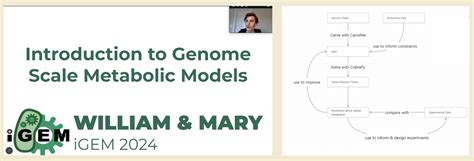Education William And Mary Igem 2024