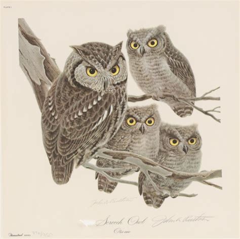 John Ruthven Offset Lithograph Screech Owl Ebth