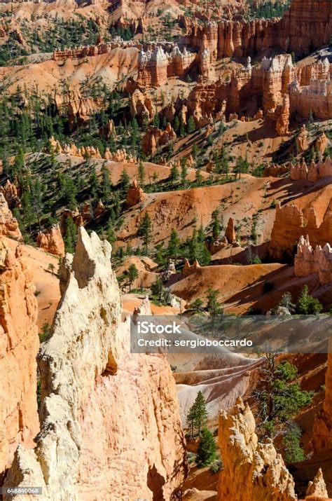 브라이스 캐년 국립공원 공원에 대한 스톡 사진 및 기타 이미지 공원 나무 나바호 문화 Istock