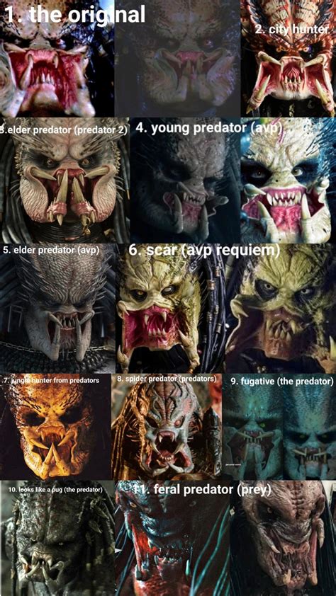 Predator 1987 Face