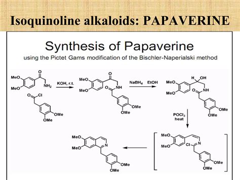 Synthesis Of Important Alkaloid Ppt