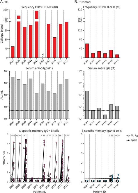 SARS CoV Specific IgG Memory B Cell Response Measured In Patients Download Scientific