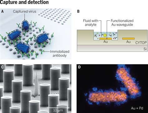 Nanoplasmonic Sensing And Detection Science