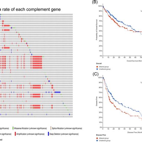 Genetic Mutations Of Complement Genes And Their Association With Os And