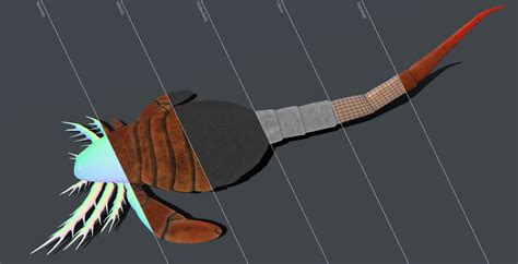 Carcinosoma Scorpion 3d Model Cgtrader