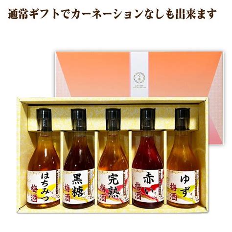 母の日に 送料無料 梅酒 飲み比べセット 300ml×5本 梅酒セット 中田の梅酒 父の日 母の日 ギフト 焼酎屋ドラゴン 通販