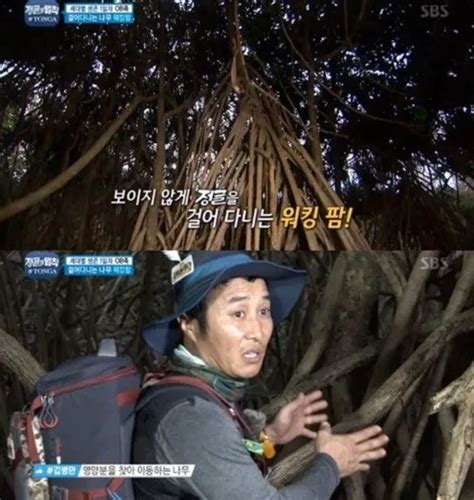뿌리 야반도주를 예언한 정글의 법칙 유머움짤이슈 에펨코리아
