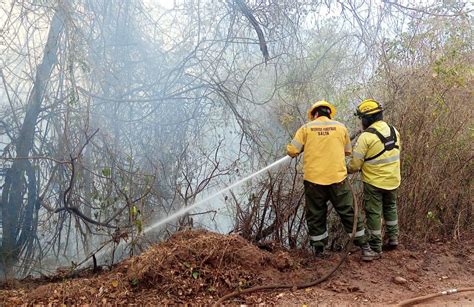Dos Aviones Y 30 Brigadistas Se Suman Al Combate De Los Incendios En El