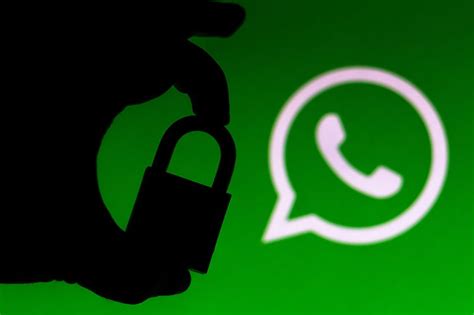 patched whatsapp vulnerability could have exposed users data