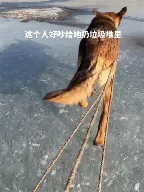 豆豆：这个人好吵给她扔垃圾堆里呲溜滑 回村的快乐你想象不到 北方的冬天腾讯视频