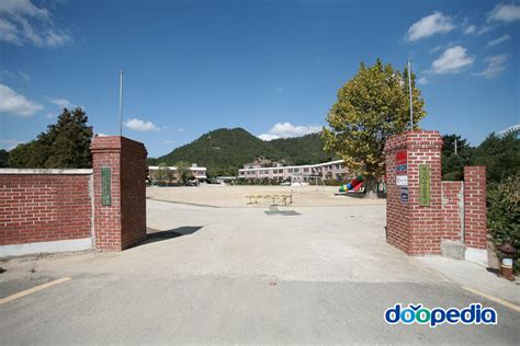 두피디아 포토커뮤니티
