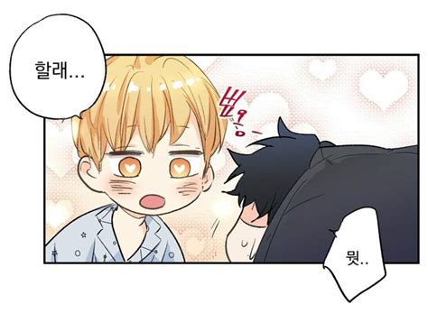 사랑은 환상 Wiki Anime Amino