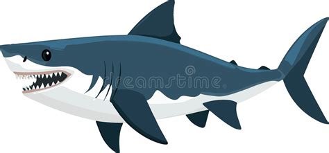 Megalodon Clipart Stock Illustrations 30 Megalodon Clipart Stock