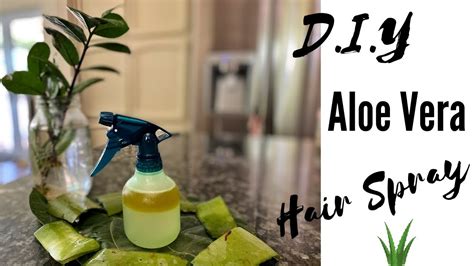 D I Y Aloe Vera Moisturizing Hair Spray For Insane Hair Growth And