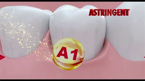 Dabur Meswak Toothpaste With Ayurvedic A3 Protection Loyalist