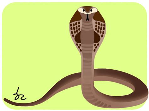 겨자씨 코브라 효과 국민일보