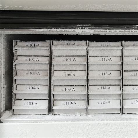 Für M21 750 499 19 1mm Breite Label Band Schwarz A Vicedeal