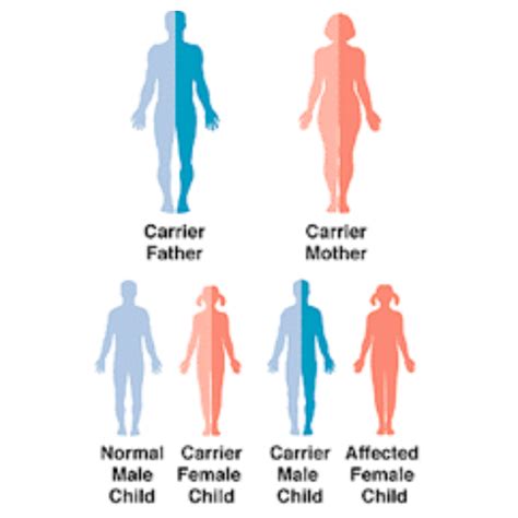 Impacts Institute For Mathematics And Its Applications College Of Science And Engineering