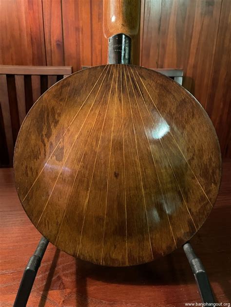 Douglas And Co Museum Quality Zither 7 String Banjo Circa 1910 Used