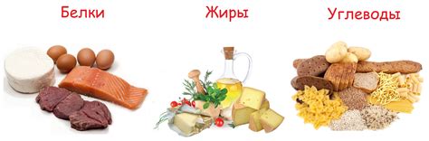 Белки Жиры И Углеводы Диета — Похудение Диета Правильное Питание