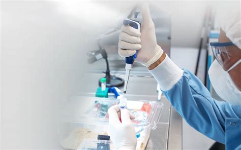 Cdmo Services Randd Drug Development Process Aragen Life Sciences